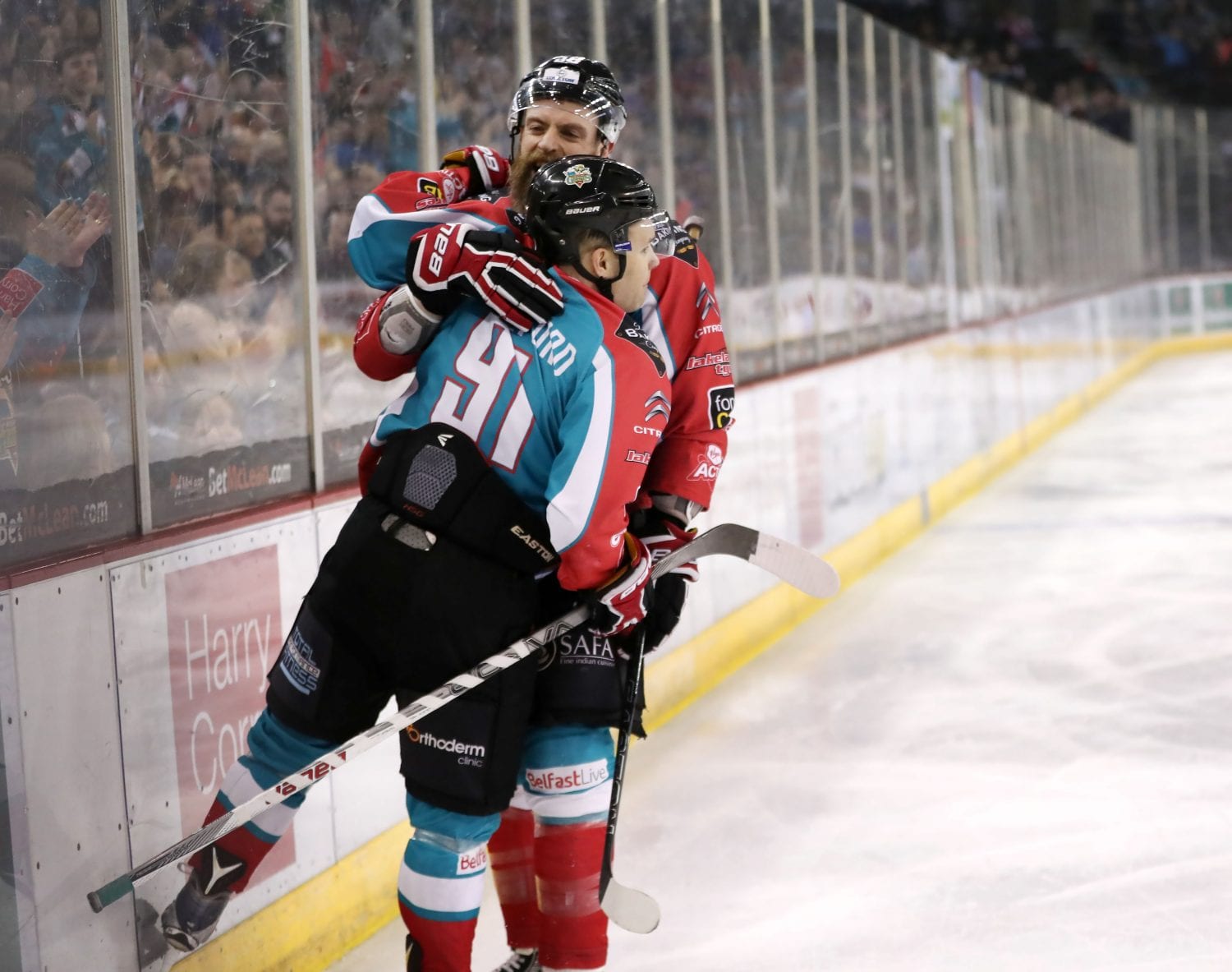 David Rutherford returns to the Belfast Giants | British Ice Hockey
