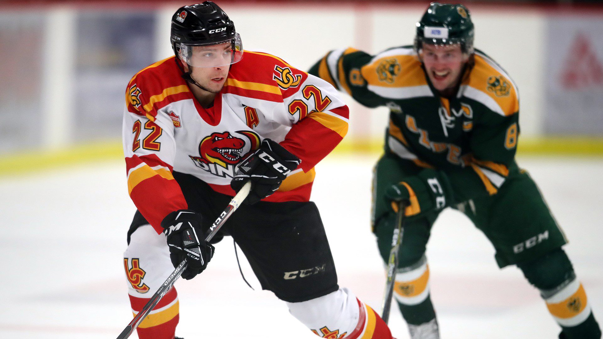 Blaze Sign Mitch Cook