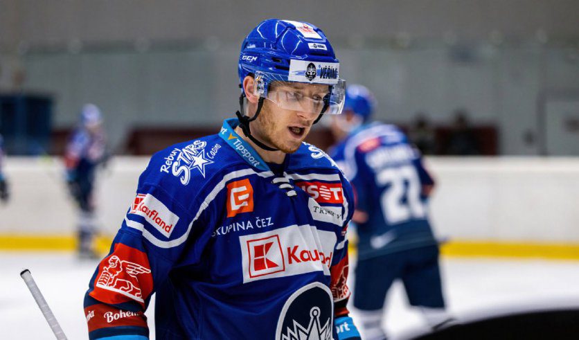 Sheffield Steelers Recruit Tomáš Pitule Amid Injury Concerns | British ...