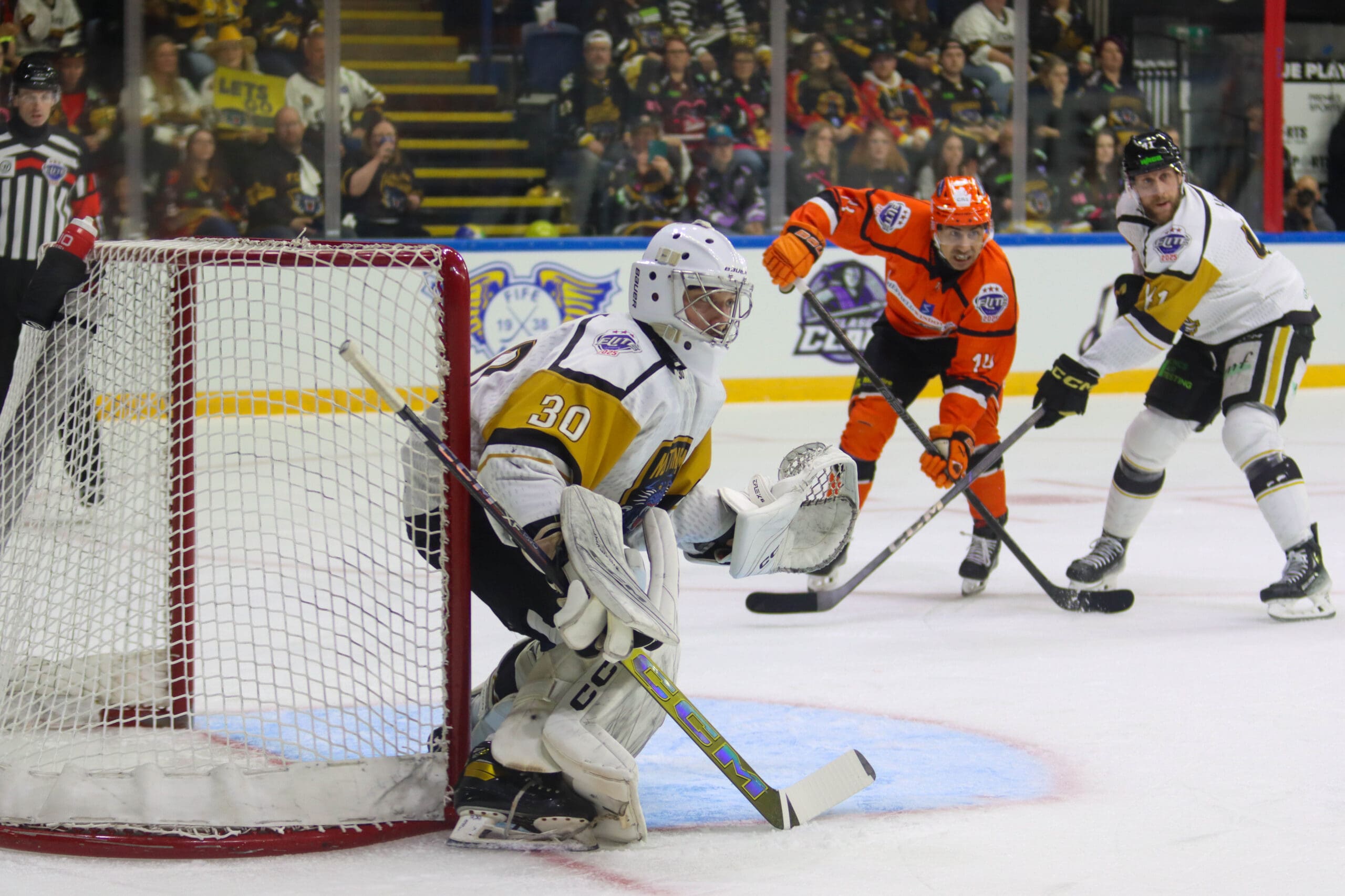 Analysis: Nottingham Panthers re-sign netminder Jason Grande