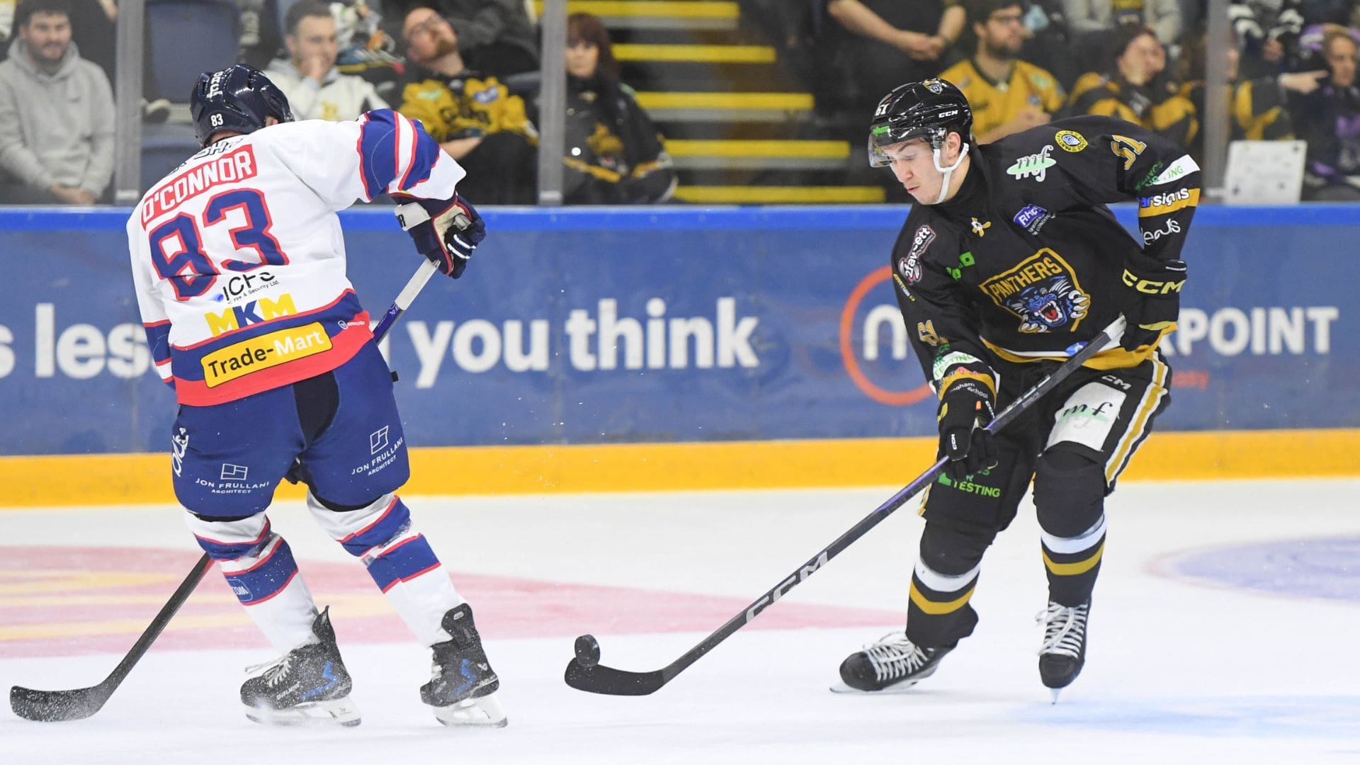 'The weirdest feeling in the world' - Logan Neilson makes shock move to ...